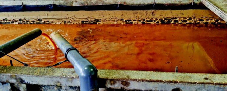 Spill Containment | Box Liners | Poly Liners for containers